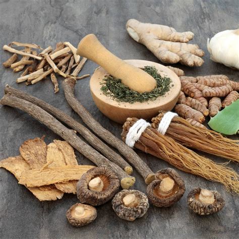 The Best Adaptogens Blog Moment