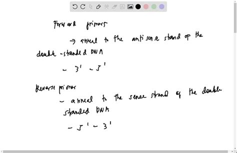solved what is the difference between the forward and reverse primer