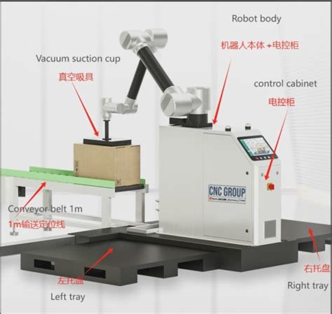 Collaborative Palletizing Robot Arm System 20kg 40kg With Conveyor Belt
