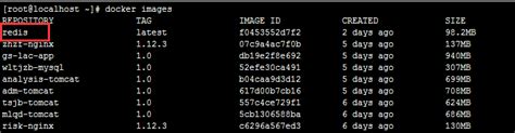 Docker下安装redis（支持远程访问）docker Redis 禁用远程连接 Csdn博客