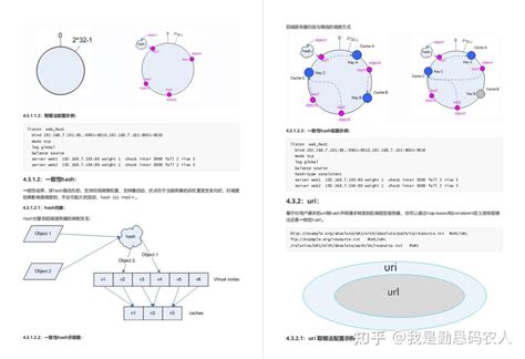 Haproxy是什么？全网最详细的用法讲解文档，看这一篇就够了 知乎