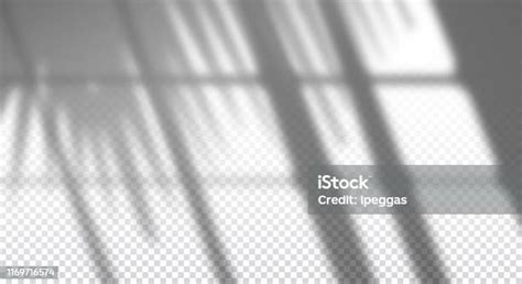 벽에 손바닥 분기와 창의 현실적인 투명 드롭 그림자 사진 디자인 프리젠 테이션에 대한 오버레이 효과 벡터 일러스트레이션 그림자에 대한 스톡 벡터 아트 및 기타 이미지