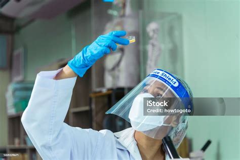 과학자 여자 손을 닫아 유리 페트리 접시 사용 현미경 연구 과학 실험실에서 자르기 여성 손 생화학 과학자 사용 곰팡이 유리 페트리 접시 실험실 화학 실험실 보기 정적 활동에