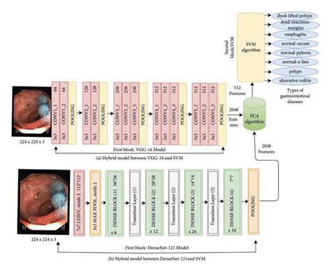Infrastructure Framework For The Hybrid Method For Endoscopy Image Download Scientific Diagram