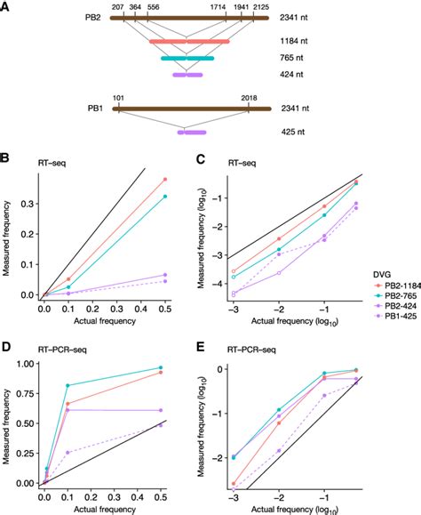 Comparison Of Rt Seq And Rt Pcr Seq Using Synthetic Pseudo Dvg Rnas