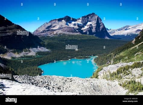 Cathedral Mountain Mt Stephen Across Lake Ohara Yoho National Park
