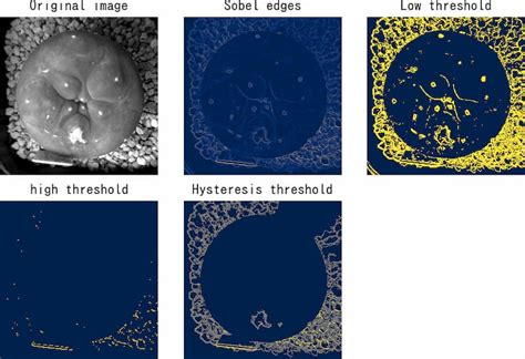 Scikit Image 33 検出したエッジのヒステリシスしきい値処理skimagefilters Apply