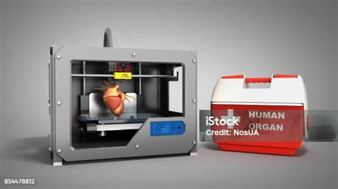 흰색 배경에 고립 된 3d 프린터 그림을 사용 하 여 인간의 마음을 만드는 이식 과정의 개념 3차원 형태에 대한 스톡 사진 및 기타 이미지 Istock