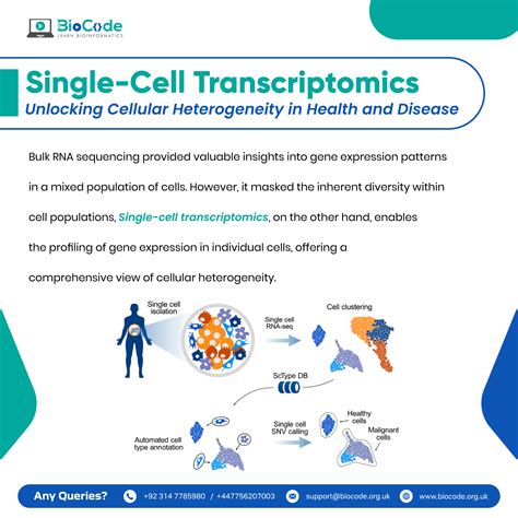 Biocode To Learn More About Single Cell Rna Seq Facebook