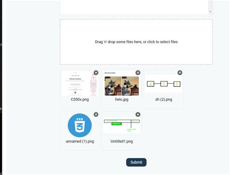 Uploaded Images Doesnt Fit Into A Containerbox And Hide The Scrollbar When No Matching