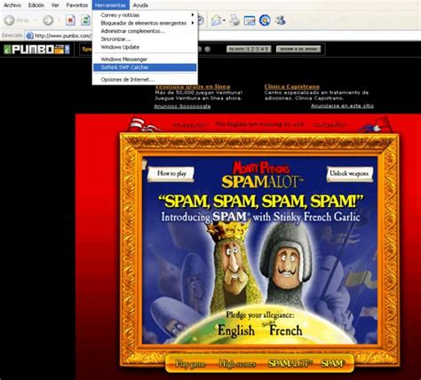 Sothink SWF Catcher For IE Download