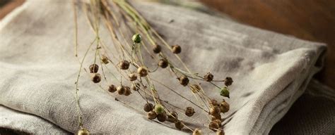 Van Robaeys A Long Standing Partnership With Andritz