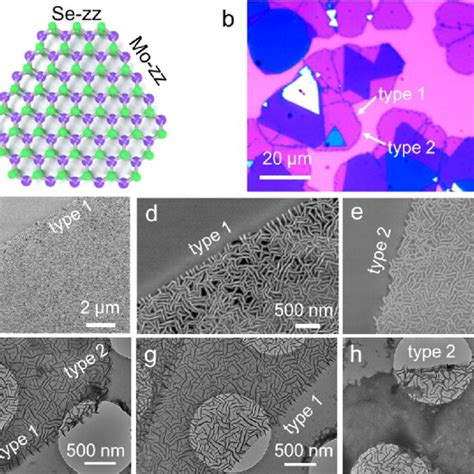 A Ball And Stick Model Showing The Top View Microstructure Of The Download Scientific Diagram