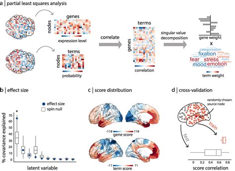relating gene expression to functional activation partial least download scientific diagram