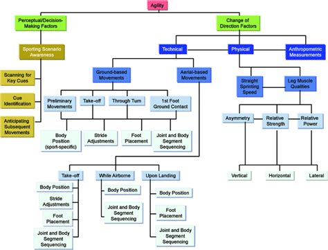 Deterministic Model Of Agility Modified From [4] Download