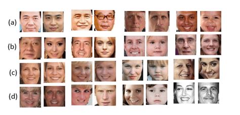 Sample Of Kinship Dataset A Father Sonfsb Father Daughter Fd Download Scientific