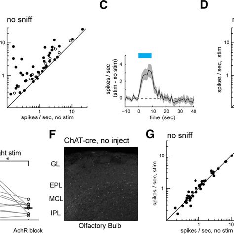 Optogenetic Activation Of Cholinergic Inputs To The Ob Enhances Mtc Download Scientific Diagram