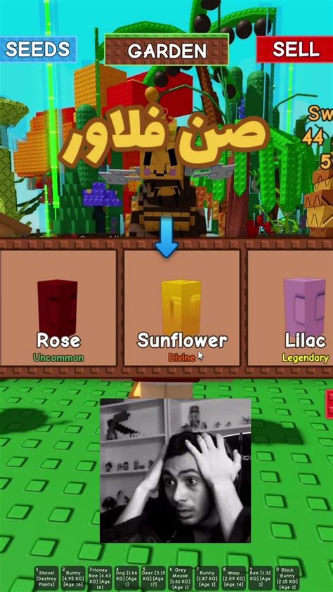 لانا و رورو Lanaroro Urlebird