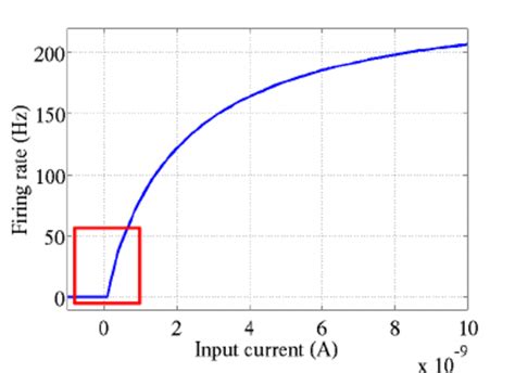 Left Common Neural Activation Function Motivated By Biological Data