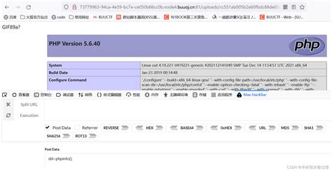 web buuctf [suctf 2019]checkin1 illegal suffix csdn博客