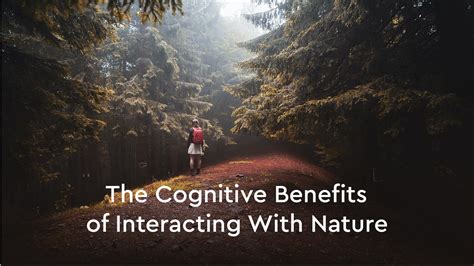 The Cognitive Benefits Of Interacting With Nature Happyneuron Pro Blog