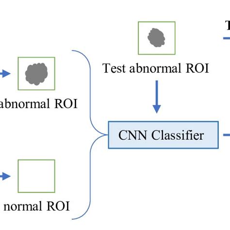 Flowchart Of The Experiment 1 The True Boundaries Of Tumor Regions In