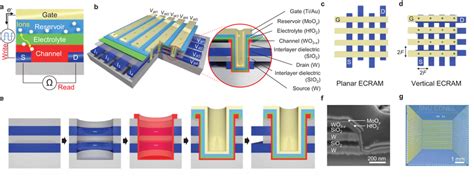 A Schematic Diagram Of Cross‐section Of An Ecram That Controls The Download Scientific Diagram