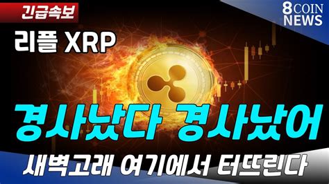 리플 긴급속보 경사났다 경사났어 새벽고래 여기에서 터뜨린다 Youtube