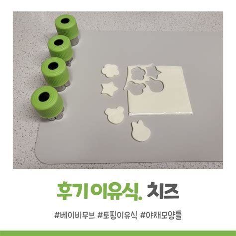 후기토핑 이유식 9개월 완분 아기 첫 치즈 먹이기 핑거푸드 야채모양틀 네이버 블로그
