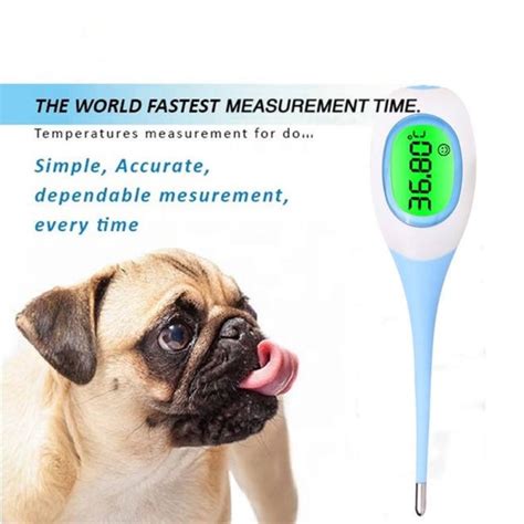 Fast Test Digital Dog Thermometer Only 8 Seconds