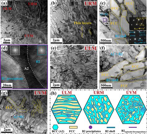 tem observations of hierarchical microstructure a bright field bf