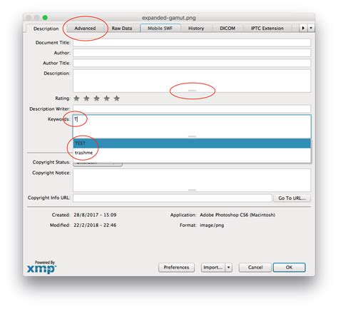Solved File Info Functionality Loss In New Version Adobe Support