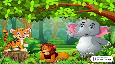 ტყე და მისი მნიშვნელობა Youtube