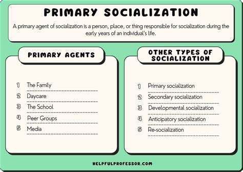 Primary Agents Of Socialization Definition And 5 Examples