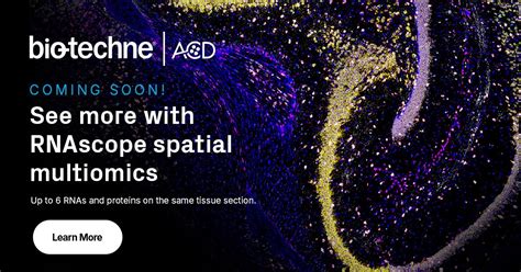 Visualize Cell Phenotypes And Function With Single Section Spatial Ludovic Arnold