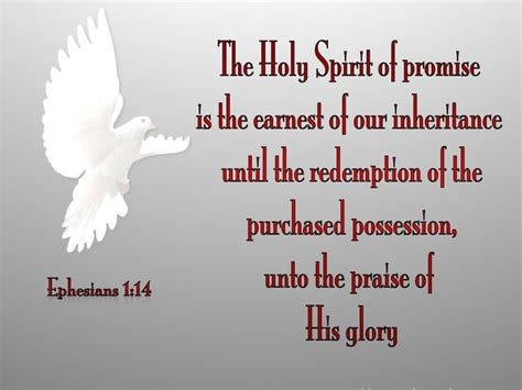 The Deeper Significance Biblical Meaning Of Inheritance John Baptist