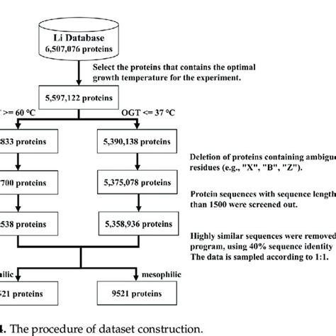 The Procedure Of Dataset Construction Download Scientific Diagram
