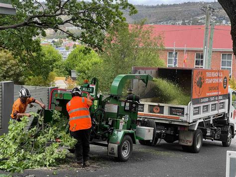 Tree Pruning Trees R Us Tasmania