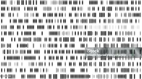 염색체 데이터를 흑백으로 시각화한 Dna 유전자 염기서열 지도 의료 분석 패턴 게놈 테스트 인포그래픽 분석을 통한 추상적인 과학 질감 미토콘드리아 매핑 프로필 0명에 대한