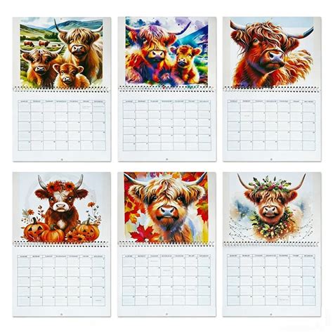 Highland Cow Calendar 2026 Adorable Scottish Cow Wall Calendar Funny