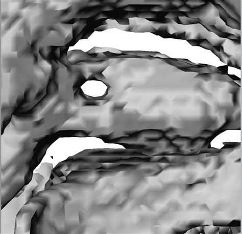 11 a marching cubes generated isosurface is smoothed by the dual