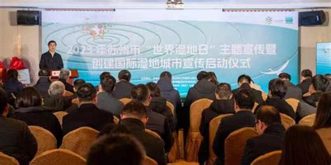湿地资源丰富，自然湿地保护率达724苏州全力创建国际湿地城市太湖公园