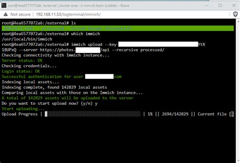 Immich Docker Self Hosted Google Photos Setup General Support Unraid