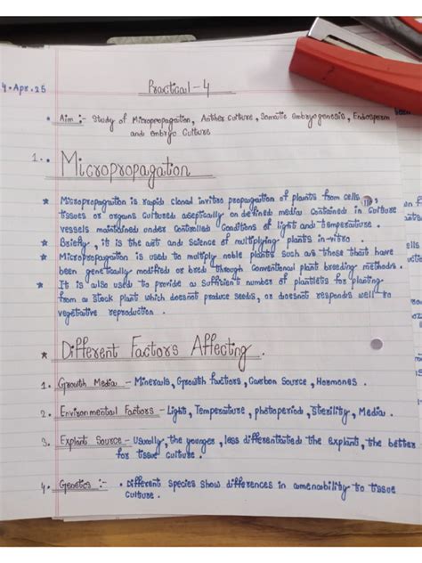 Practical 4 Micropropogation Pdf
