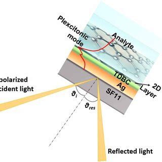 Experimental Setup Of Proposed Sensor Download Scientific Diagram