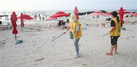 제주도 설 연휴 입도객 대상 플라스틱 제로 캠페인 파이낸셜뉴스