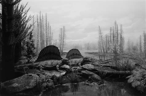 Hiroshi Sugimoto Dioramas Fraenkel Gallery