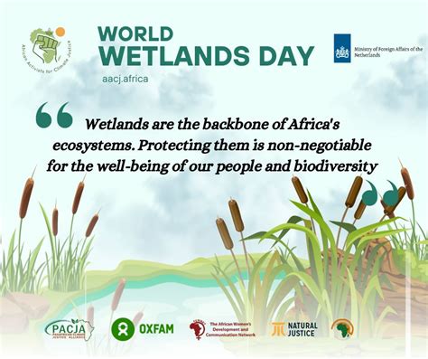 African Youth Commission Ayc On Linkedin Wetlands Are The Backbone Of Africas Ecosystems