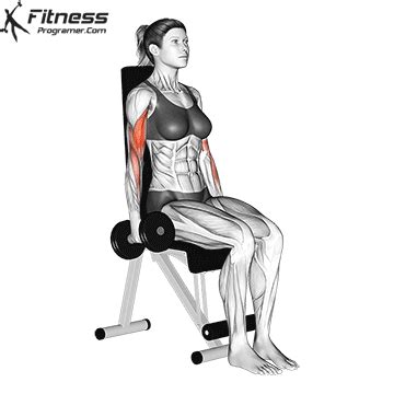 How To Do Seated Biceps Curl Benefits And Muscles Worked