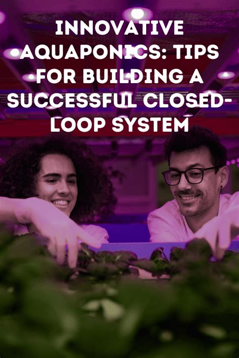 Innovative Aquaponics Tips For Building A Successful Closed Loop System Innovative Aquaponics Tips For Building A Successful Closed Loop System